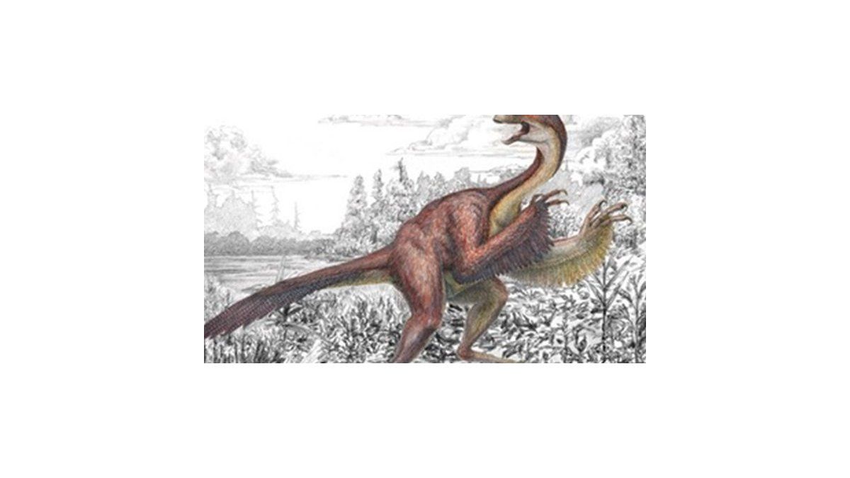 Descubren un dinosaurio apodado el pollo del infierno