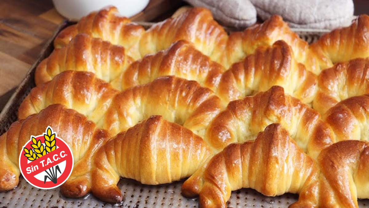 Las deliciosas medialunas de manteca sin TACC para hacer en simples pasos para tu merienda