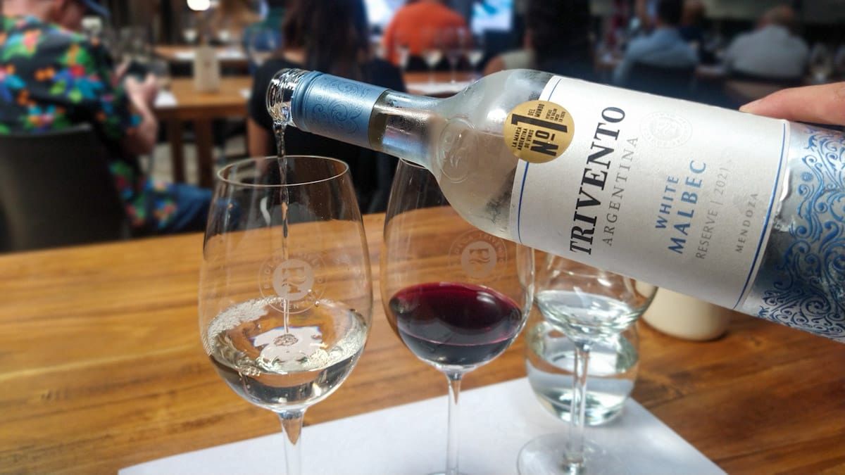 Los secretos del Malbec blanco contados por Maximiliano Ortiz, el ...