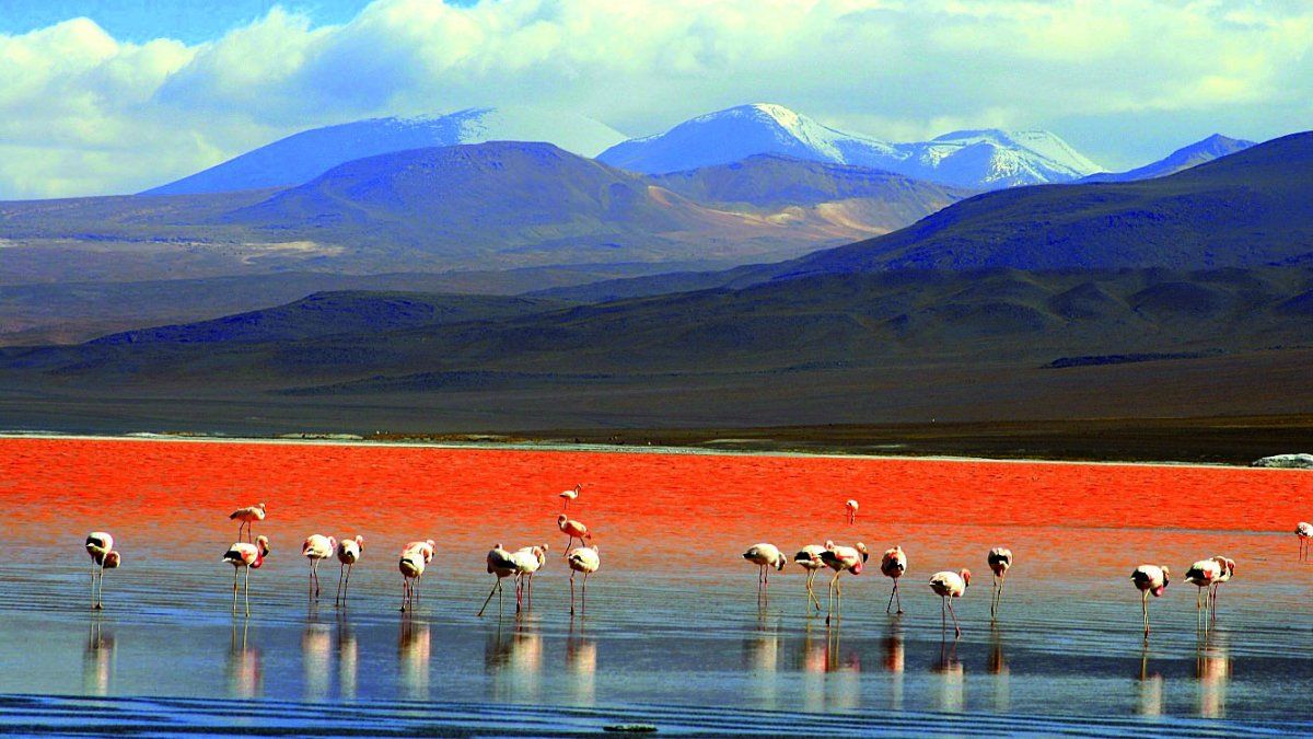 Los paisajes de la Puna que hay que conocer