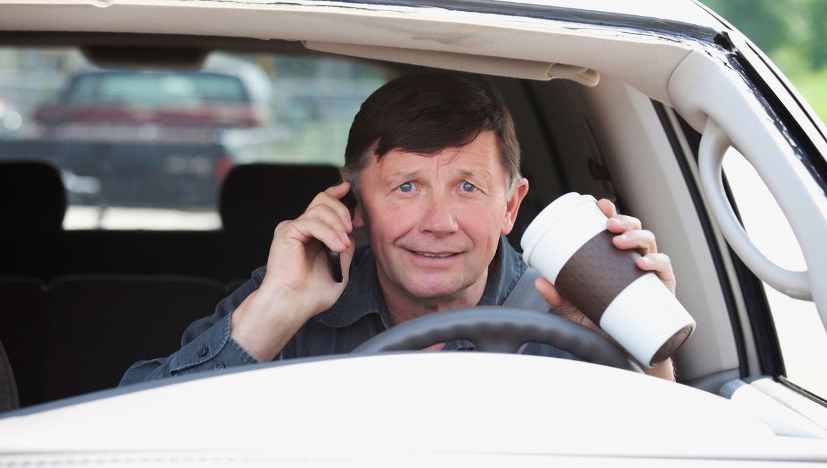 Chorlito: el ave que inspiró una de las frases más usadas en español